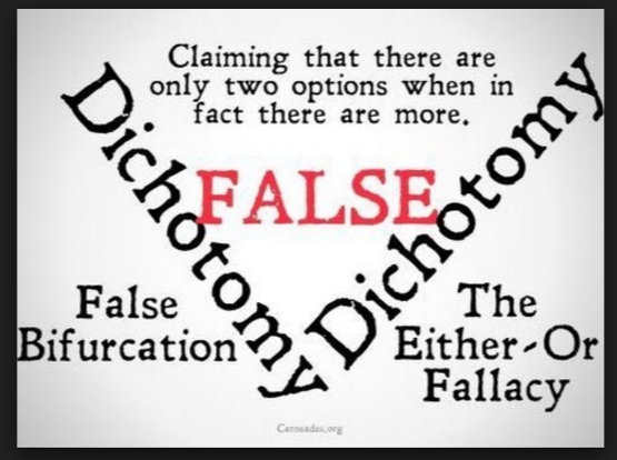 A Thinking Continuum: A Search for Complexity in Early Childhood ...