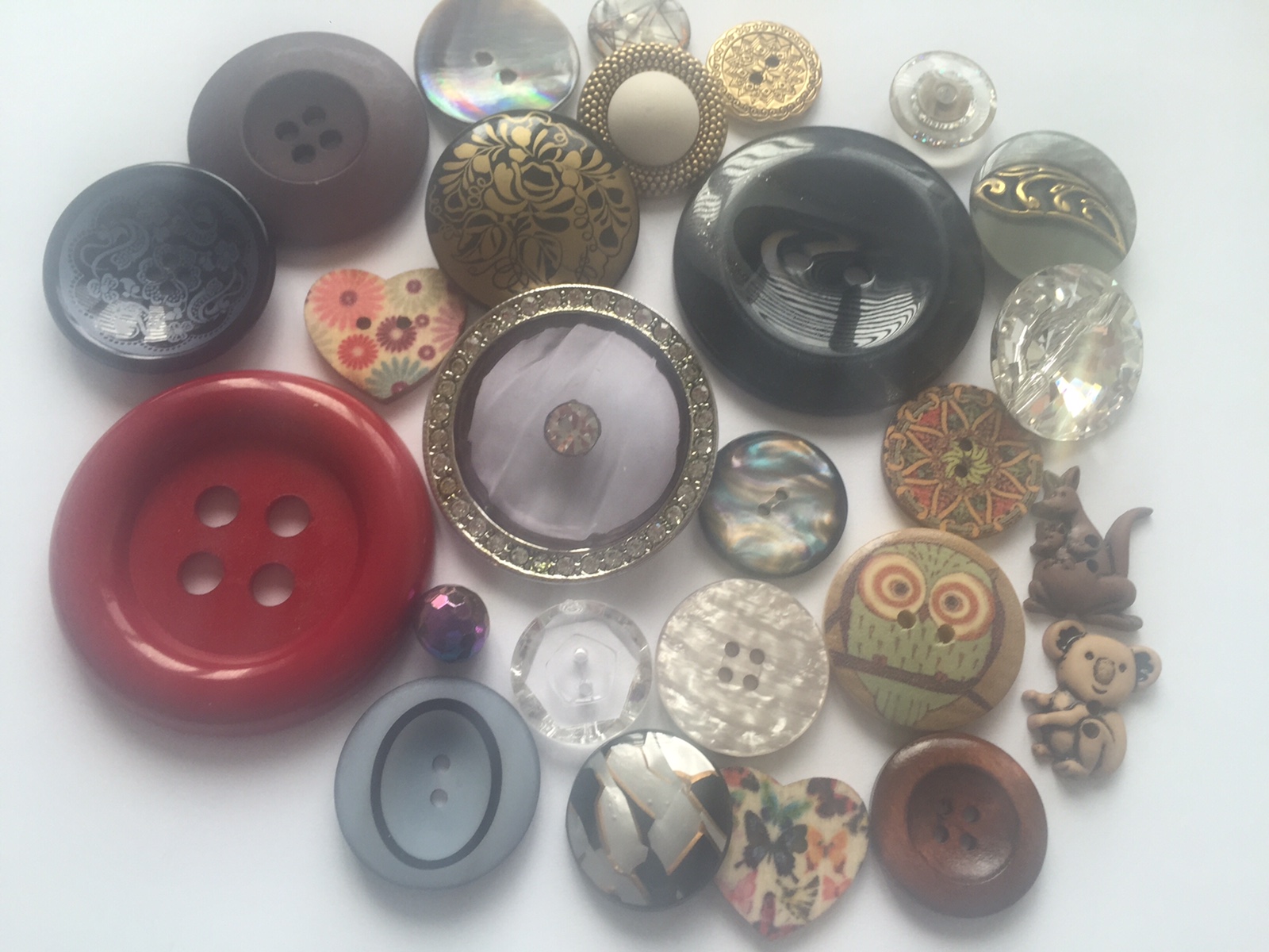 Buttons Connect in Reggio-Inspired Practice | Technology Rich Inquiry ...