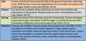 Emergent Curriculum Across the Seasons: Let Nature be the Invitation ...