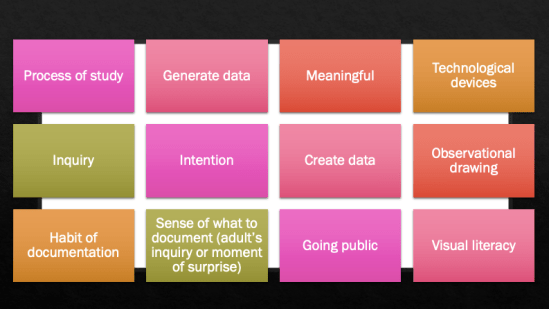 Continuous Professional Learning for Early Childhood Educators ...