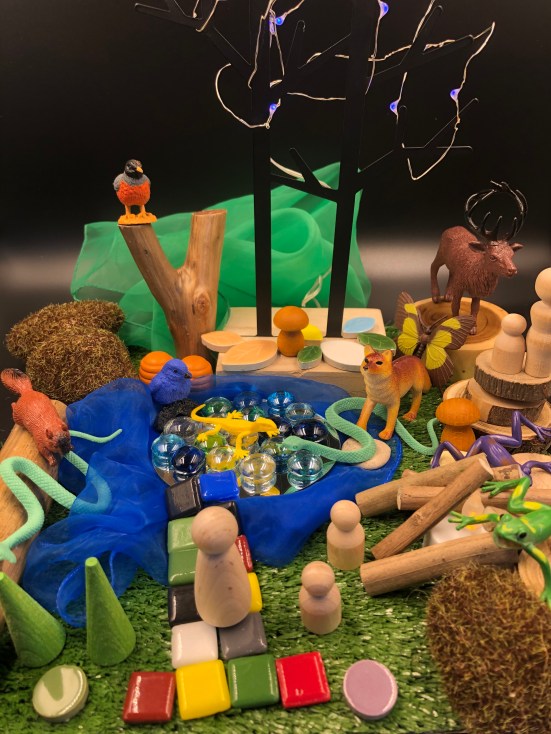 Forest School | Technology Rich Inquiry Based Research